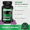 Hemp Gummies Delta Premium 500 Milligram High Potency - 20 Count - 25mg ...