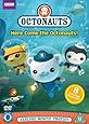 Octonauts - Here Come the Octonauts [DVD]: Amazon.co.uk: DVD & Blu-ray