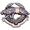 Amazon.com: Ukraine Special Operations Forces Wolf Ukrainian Emblem ...