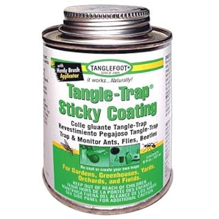 Tanglefoot Tangle-Trap Sticky Coating (Aerosol), 10 oz. (B000NCYQMS ...