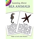 Learning About Sea Animals (Dover Little Activity Books): Sy Barlowe ...