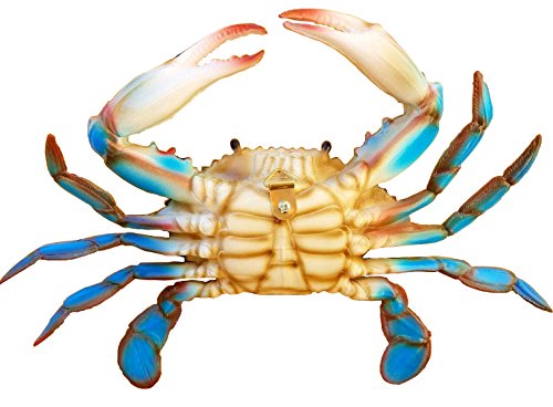Blue Crab Wall Decor | WackyDecor