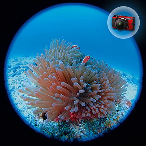 OM System Olympus TG-6 Red Underwater camera, Waterproof, Freeze proof ...