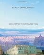 Country of the Pointed Firs: Sarah Orne Jewett: 9781461072058: Amazon ...