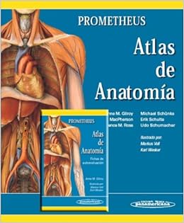 Atlas de anatomia/ Atlas of Anatomy: Prometheus (Spanish Edition ...