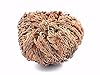 Rose of Jericho Miracle Flower - The Resurrection Plant – Pack of 2- by ...
