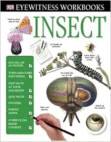 Eyewitness Workbooks: Insect (DK Eyewitness Books): Hoare, Ben ...