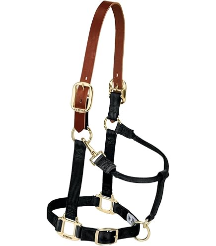 Centaur Solid Cushion Padded Breakaway Halter Bra Break Away Horse ...