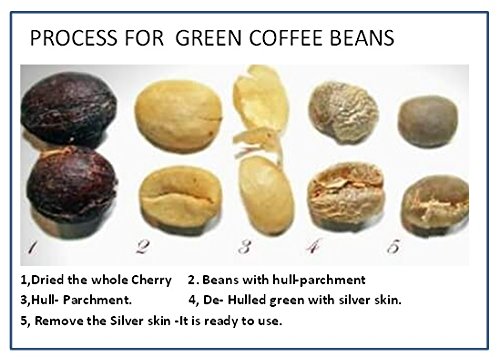 Need to remove coffee bean parchment before roasting? : r/roasting