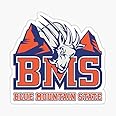 Amazon.com: BMS - Blue Mountain State Sticker - Sticker Graphic - Auto ...