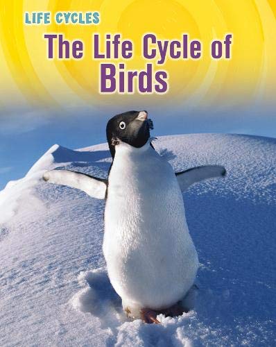 Amazon.com: The Life Cycle of Birds (Life Cycles): 9781406223606: Gray ...