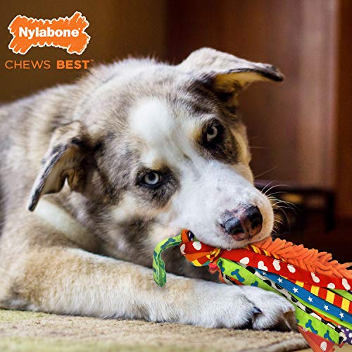 Nylabone Happy Moppy Interactive Dog Toy Happy Moppy Large/Giant (1 ...