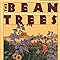 The Bean Trees: Kingsolver, Barbara: 9780060158637: Amazon.com: Books