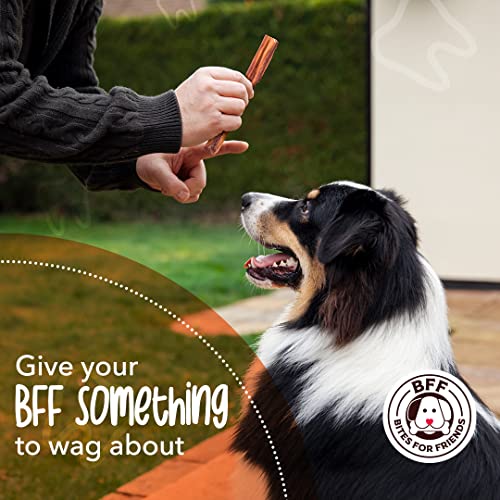 BFF Bully Sticks 6 inch (10 Count) - Long Lasting Dog Treats - Natural ...