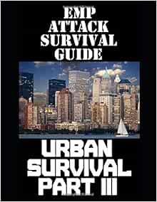 EMP Attack Survival Guide Part III: The Ultimate Beginner’s Guide On How To Prepare To Survive ...