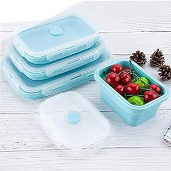 Amazon.com: Set of 4 Collapsible Food Storage Containers with Lids ...