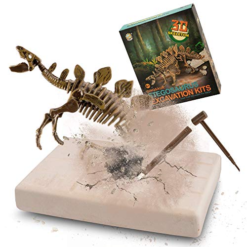 VIBIRIT Dig Up Dinosaurs Skeleton Set,Dinosaur Digging Fossil Kit Model ...