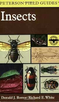A Field Guide to Insects book by Donald J. Borror