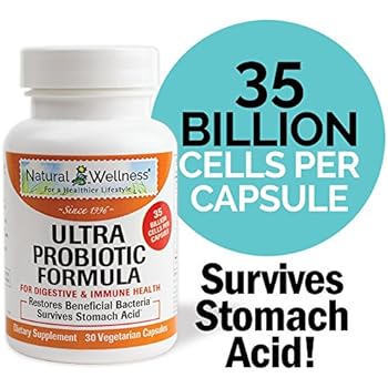 Amazon.com: Natural Wellness Super Probiotics - 10 Billion Viable Cells ...