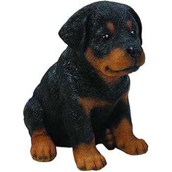 Amazon.com: Rottweiler Figurine MyDog: Toys & Games