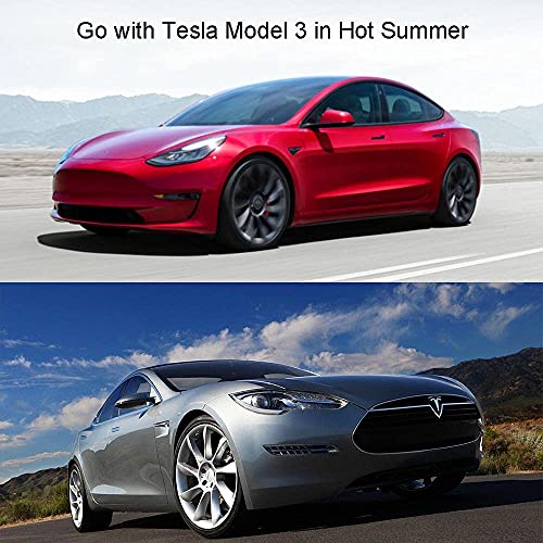 Tesla Model Sunshade offers Roof Window