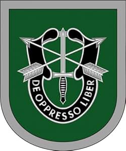 Amazon.com: US Army 1st Special Forces Command Flash Vinyl Decal ...