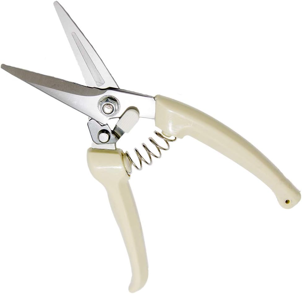 WTPR Multipurpose Footrot Shears Goat Sheep and Horse Hoof Trimmer ...