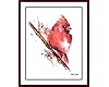 Amazon.com: Cardinal Watercolor Art Print by Nancy Knight, Watercolor ...