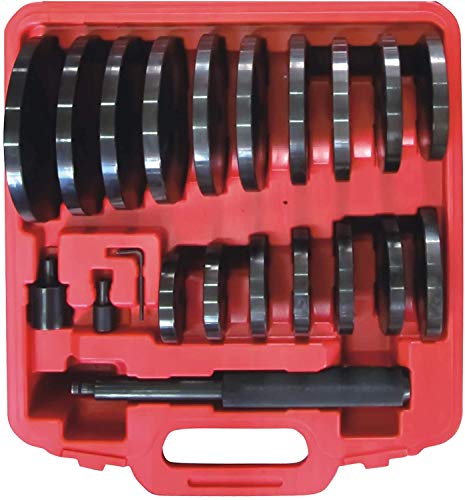 Extra Large 21PCS Custom Bush for sale | Denton, TX | Nellis Auction