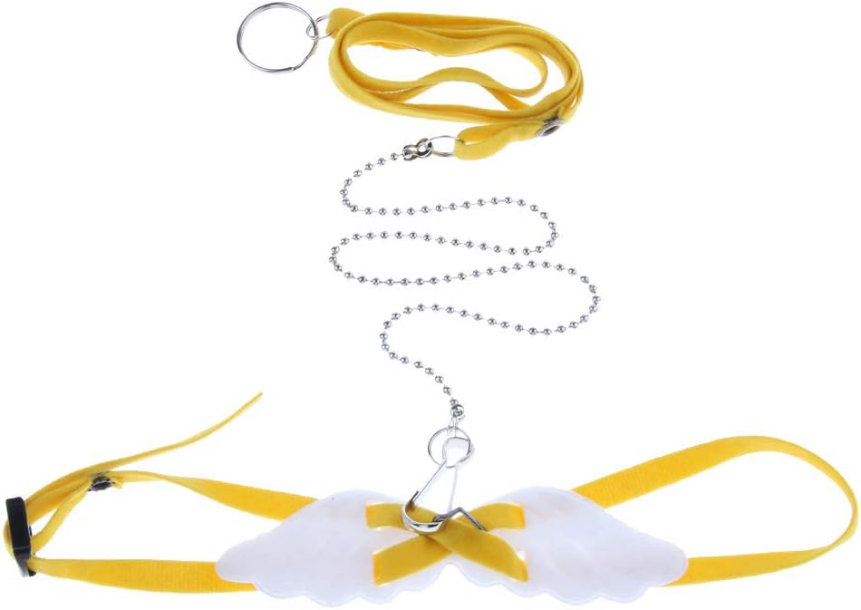 FLAMEER Leopard Gecko Harness Leash Reptile Lizard Parrot Bird Rat ...