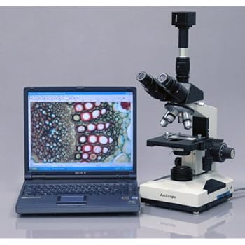 Amazon.com: AmScope T490B-P Digital Compound Trinocular Microscope, WF10x and WF20x Eyepieces ...