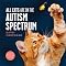 All Cats Are on the Autism Spectrum: Hoopmann, Kathy: 9781787754713 ...