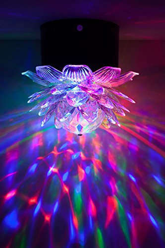 Brightz LockerBrightz Flower Lens Decorative Locker and Room Accessory ...