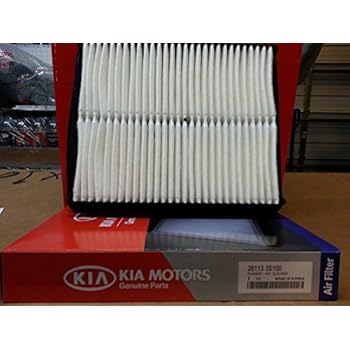 Amazon.com: HYUNDAI Genuine 28113-3S100 Filter-AIR Cleaner: Automotive