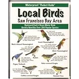 Birds of San Francisco: and the Bay Area: Fisher, Chris, Morlan, Joseph ...