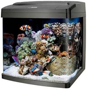 Amazon.com : Coralife Biocube, Size 14 : Aquariums : Pet Supplies