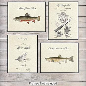 Amazon.com: Classic Trout Fish Poster, Identification Chart and ...
