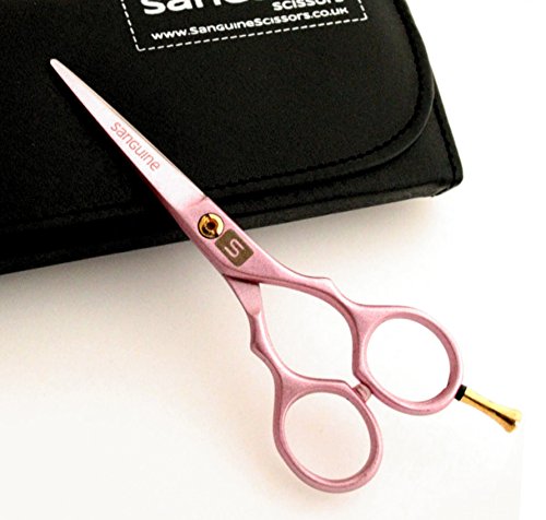 Professional Hairdressing Scissors,Hair Cutting Scissors Shears for ...