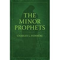 Spotlight On The Minor Prophets: 12 Book Bundle: Bible Study Guide ...