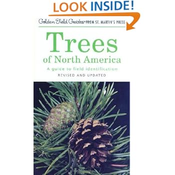 Amazon.com: A Field Guide to Eastern Trees: Eastern United States and ...