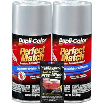 Amazon.com: Dupli-Color Platinum Silver (Metallic) Exact-Match ...