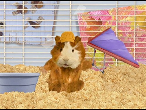 Watch Wonder Pets - Season 2 (English voice over) | Prime Video