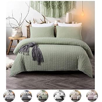 Amazon.com: Restore Home 3pc Duvet Cover Set Vintage Light Green and ...