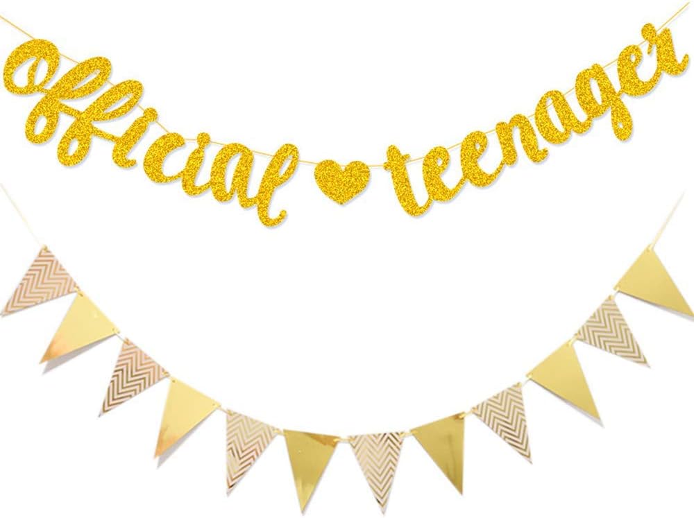 13th Birthday Banner for Boy Girl Official Teenager Birthday Party ...
