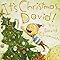 It's Christmas, David! (David Books [Shannon]): Amazon.co.uk: Shannon ...
