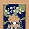 Transient Light Tarot: An 81-Card Deck and Guidebook: Wisner, Ari ...