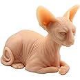 Amazon.com : Silicone Cat Model Tattooable Sphynx Cat Model Life Sized ...