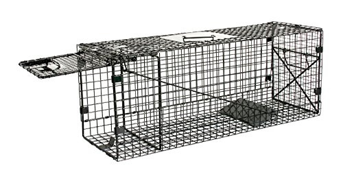Top 5 Best Raccoon Traps and Cages | Updated for 2018
