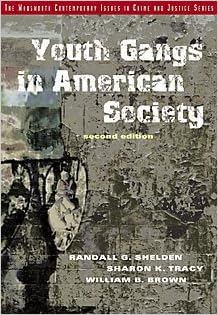 Buy Youth Gangs in American Society (The Wadsworth Contemporary Issues ...