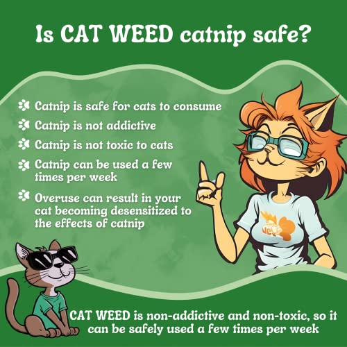 Cat Weed Accessories at Terry Summers blog